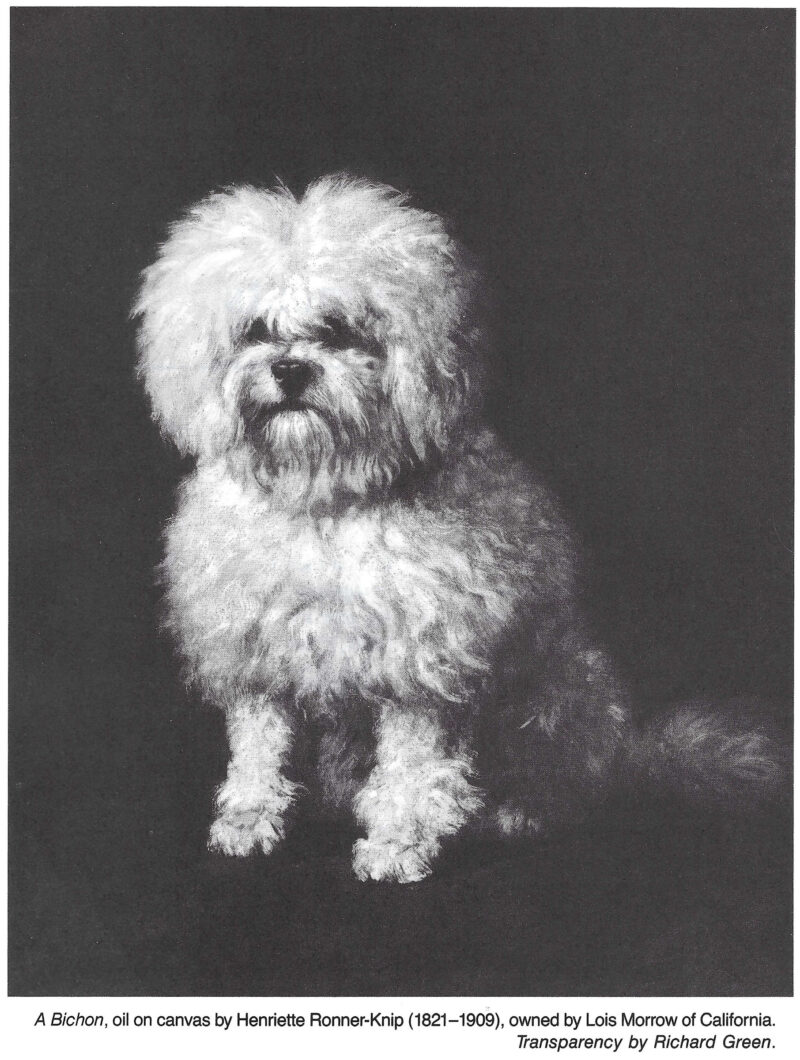 History | Bichon Frise Club of America